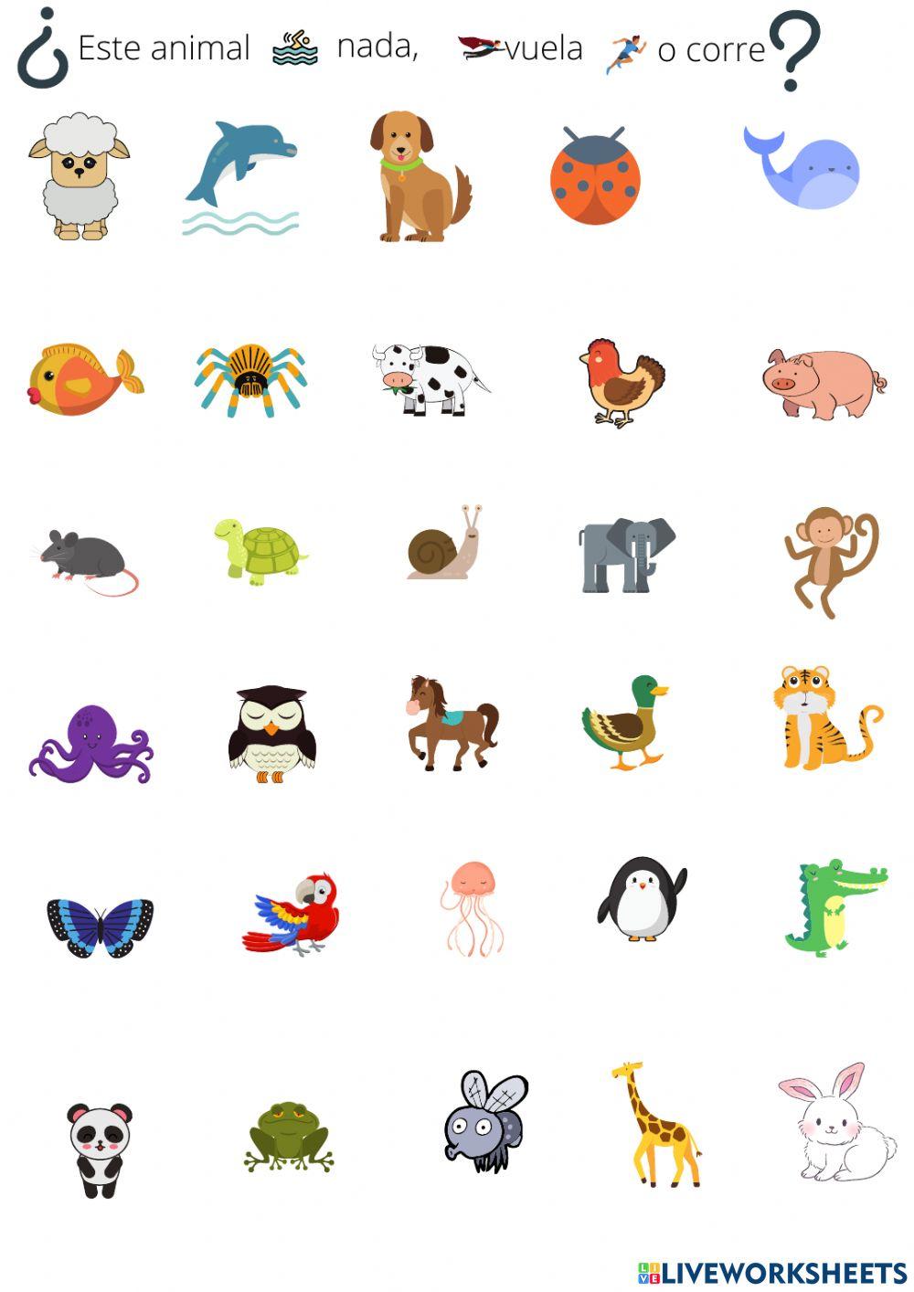 Este animal nada, vuela o corre worksheet | Live Worksheets
