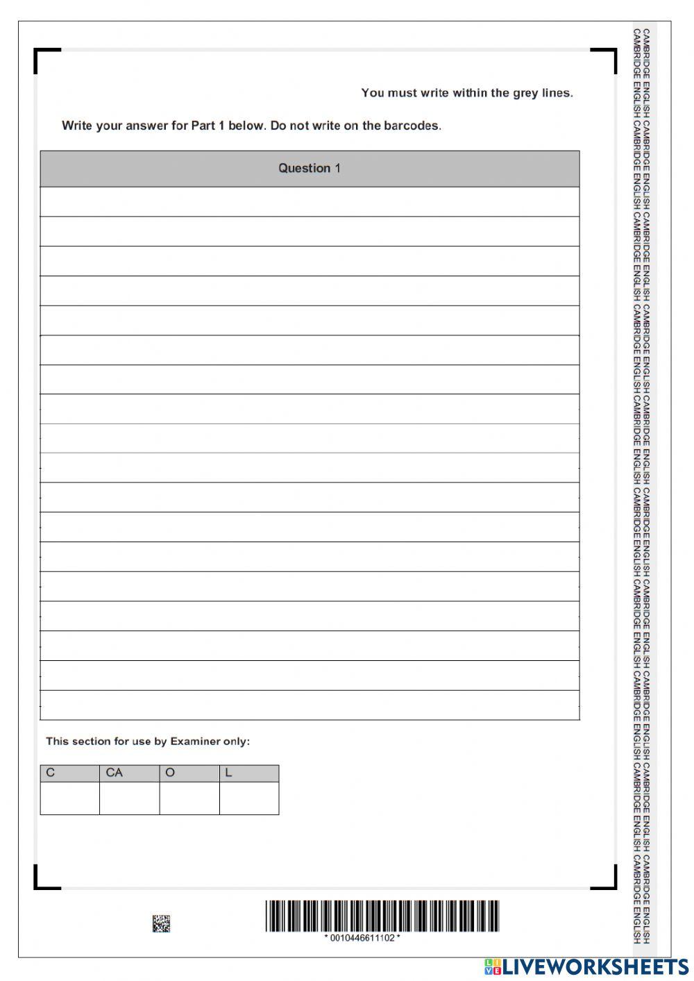template for answer sheet