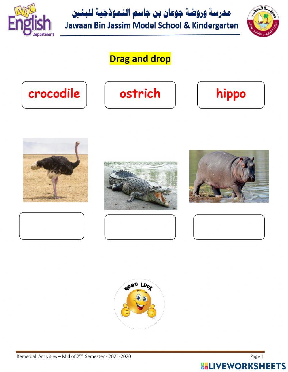 Animals online exercise for Grade 4 | Live Worksheets