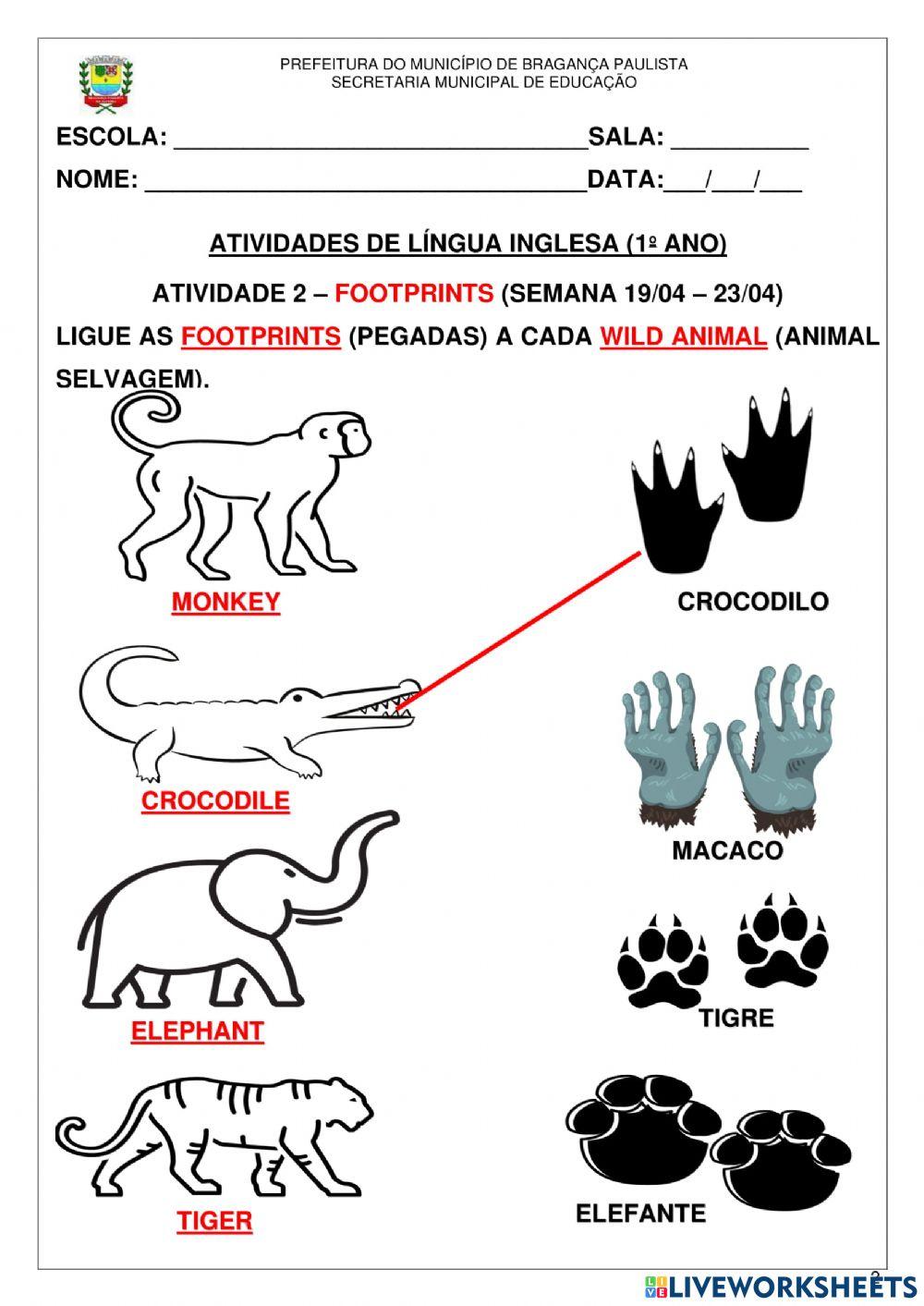 Wild Animals online exercise for Kindergarten | Live Worksheets