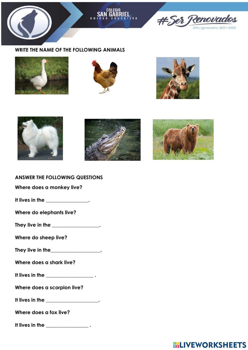 Review animals online worksheet | Live Worksheets