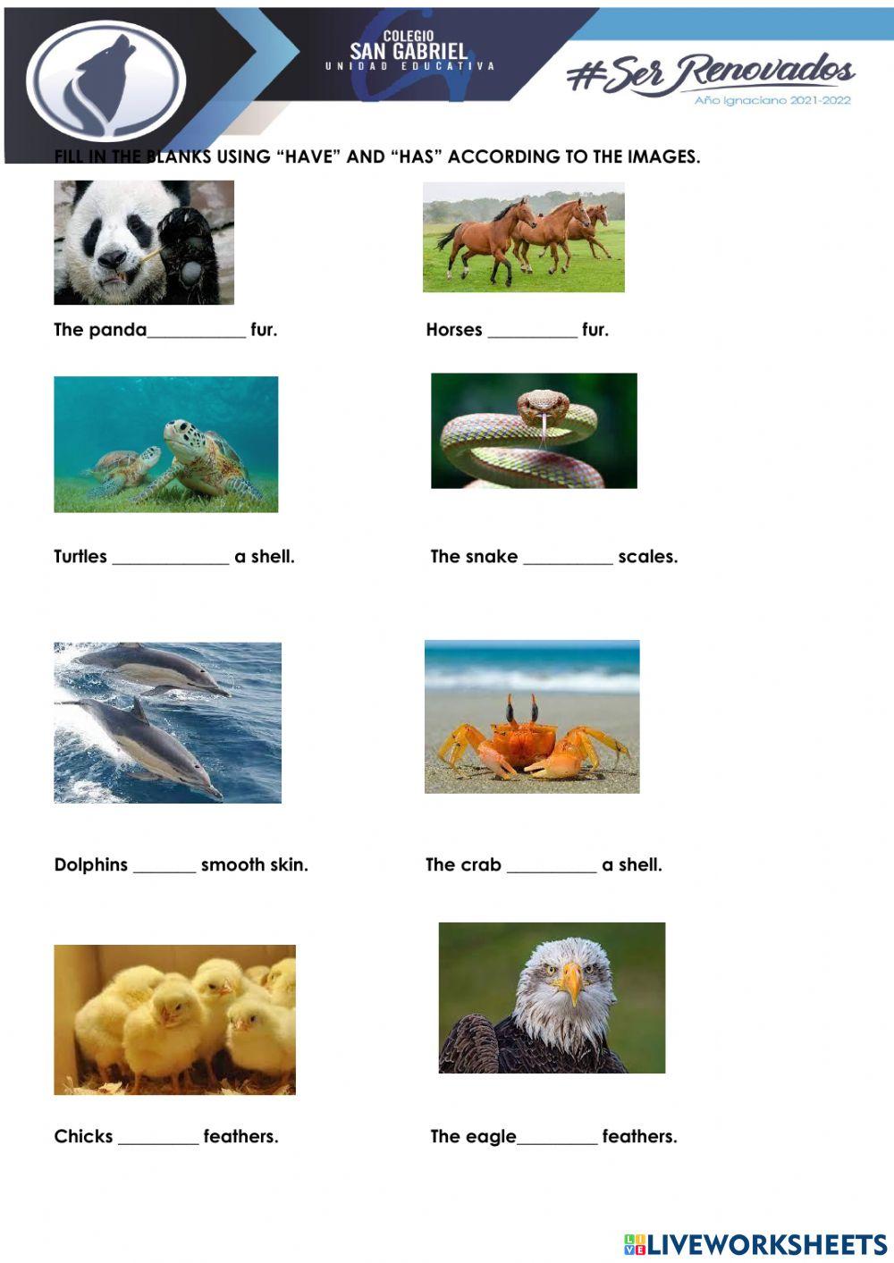 Review animals online worksheet | Live Worksheets