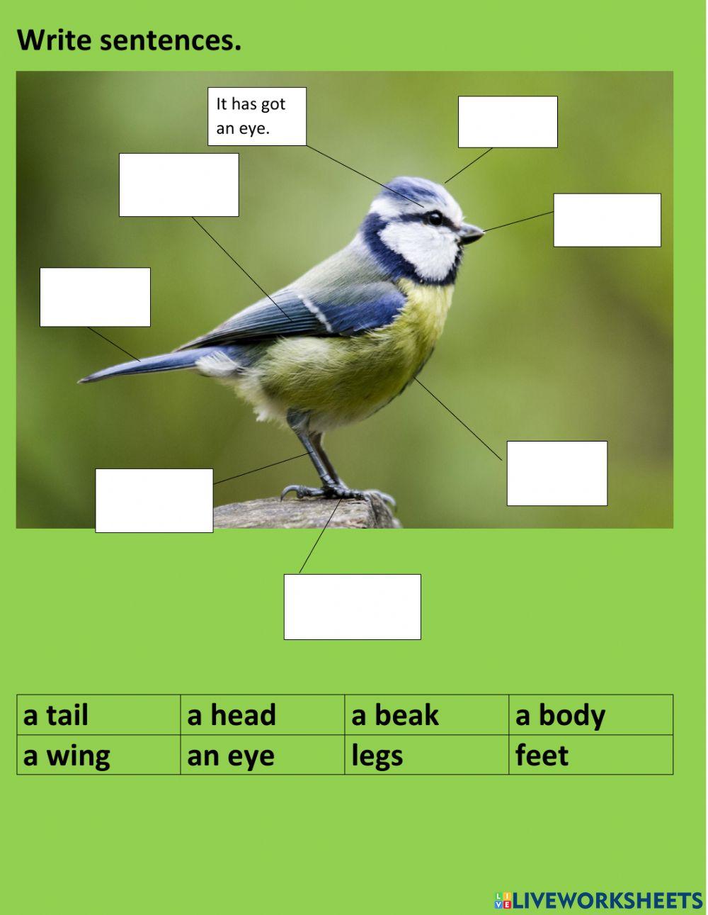 Farm animals. W… | Free Interactive Worksheets | 856982