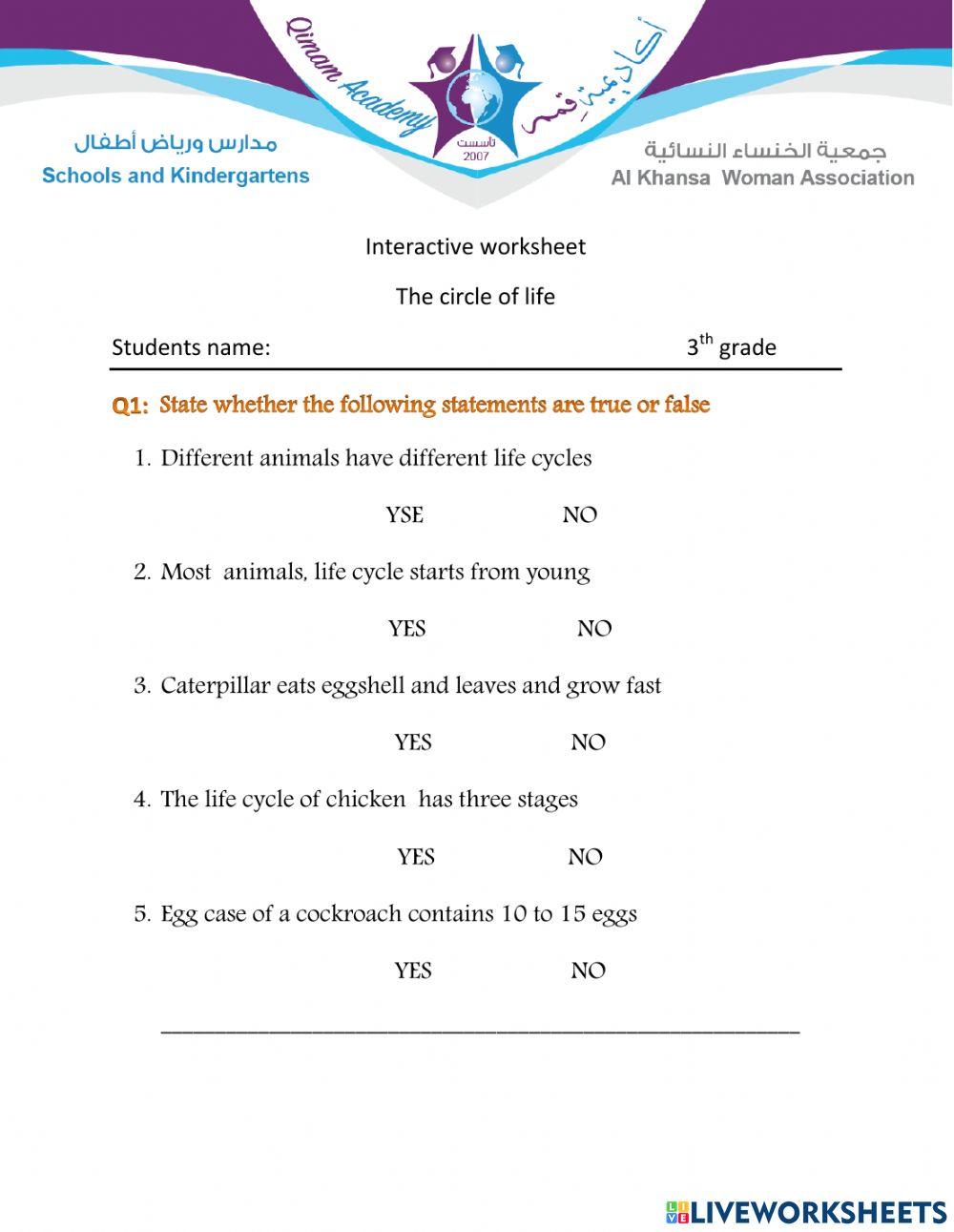 857622 | The circle of life | may suliman