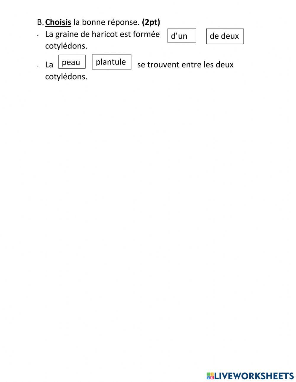 Des graines de toutes sortes eb1. worksheet | Live Worksheets