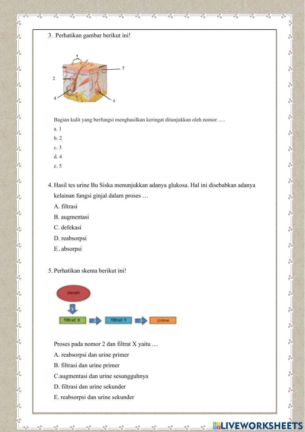 Lkpd Kd 3 8 Sistem Ekskresi Interactive Worksheet Liv - vrogue.co Lkpd Kd 3 8 Sistem Ekskresi Interactive Worksheet Liv - vrogue.co