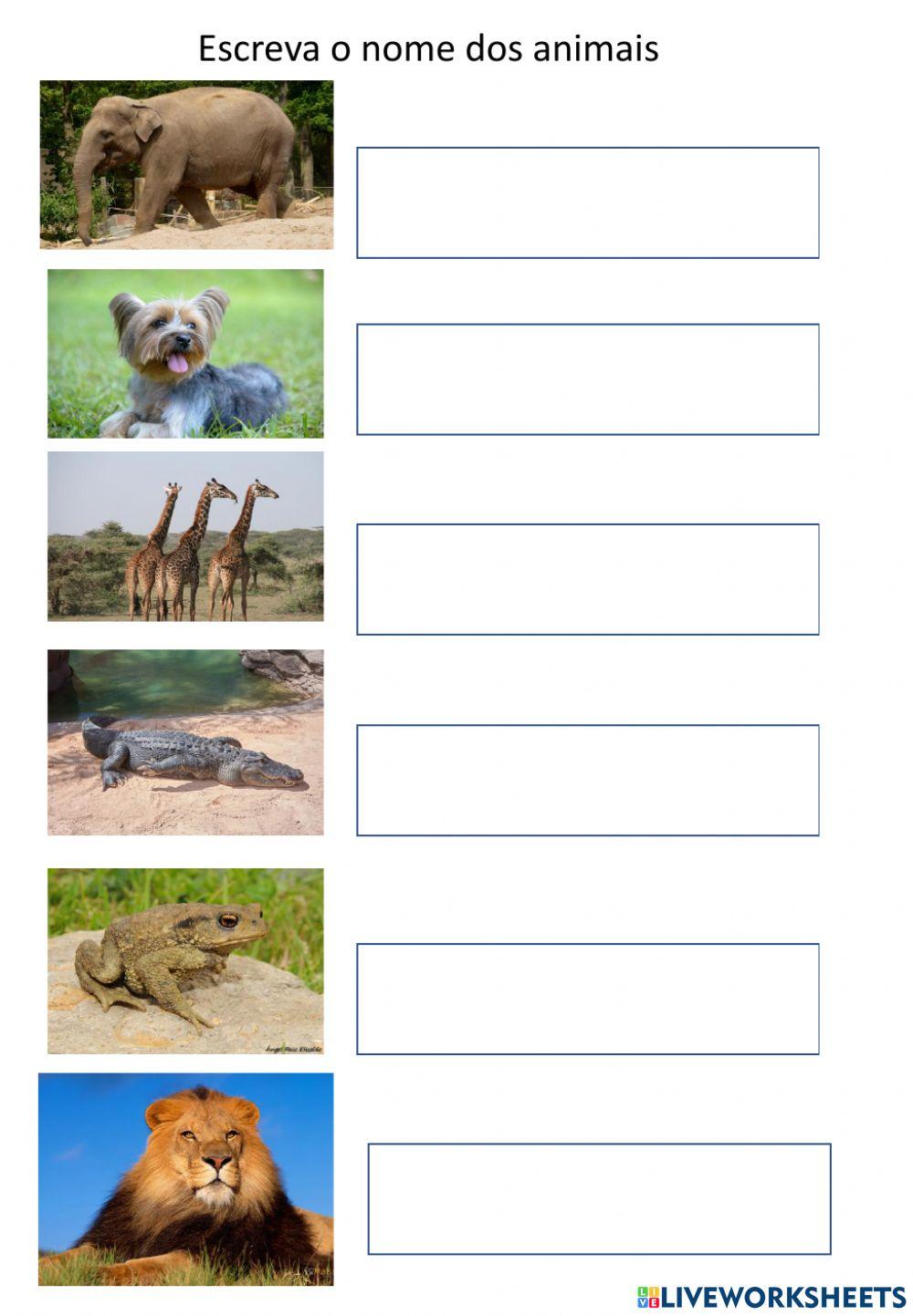 Escreva Nomes De Animais Formados Por Duas Ou Mais Palavras - RETOEDU
