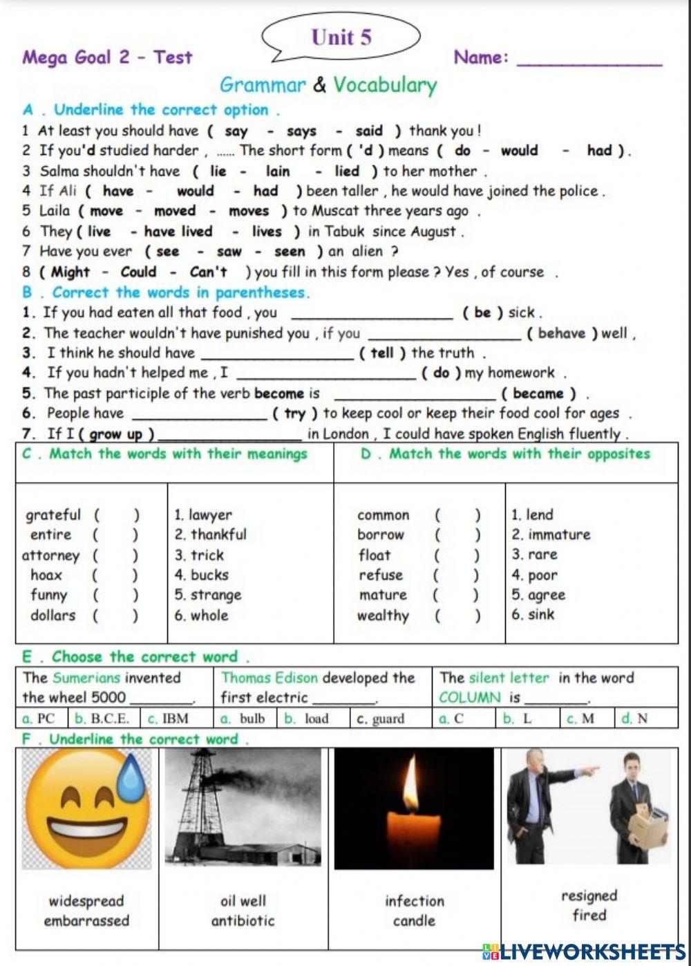 Mega goal 2 unit 5 revision 4928337 | Abu AbdAllah qesi