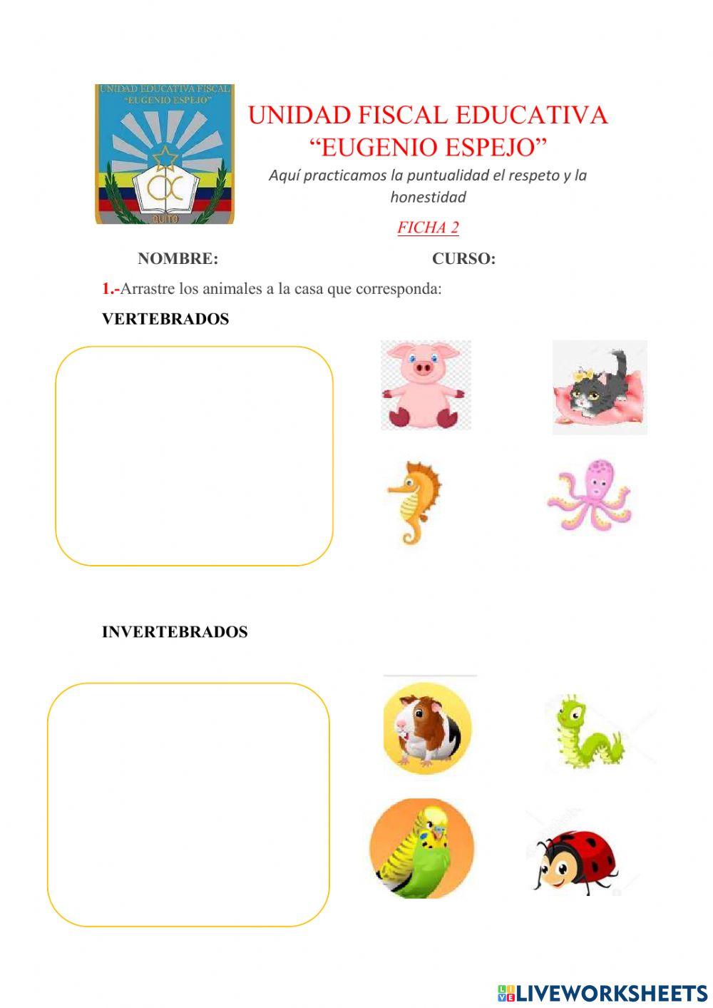 Fichas Interactivas | Live Worksheets