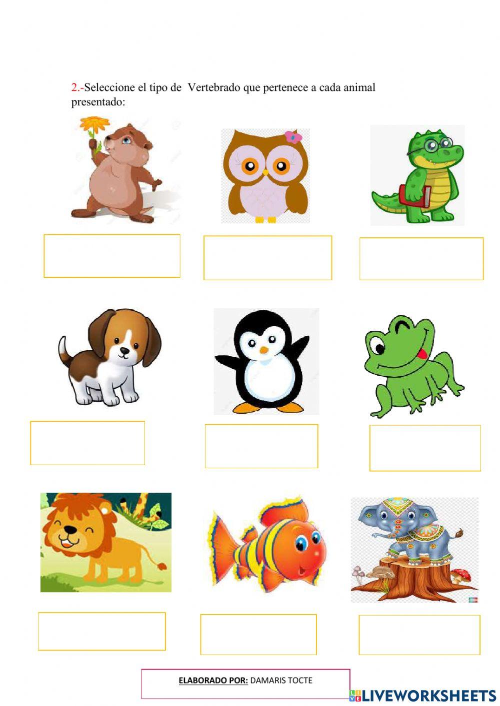 Fichas Interactivas | Live Worksheets