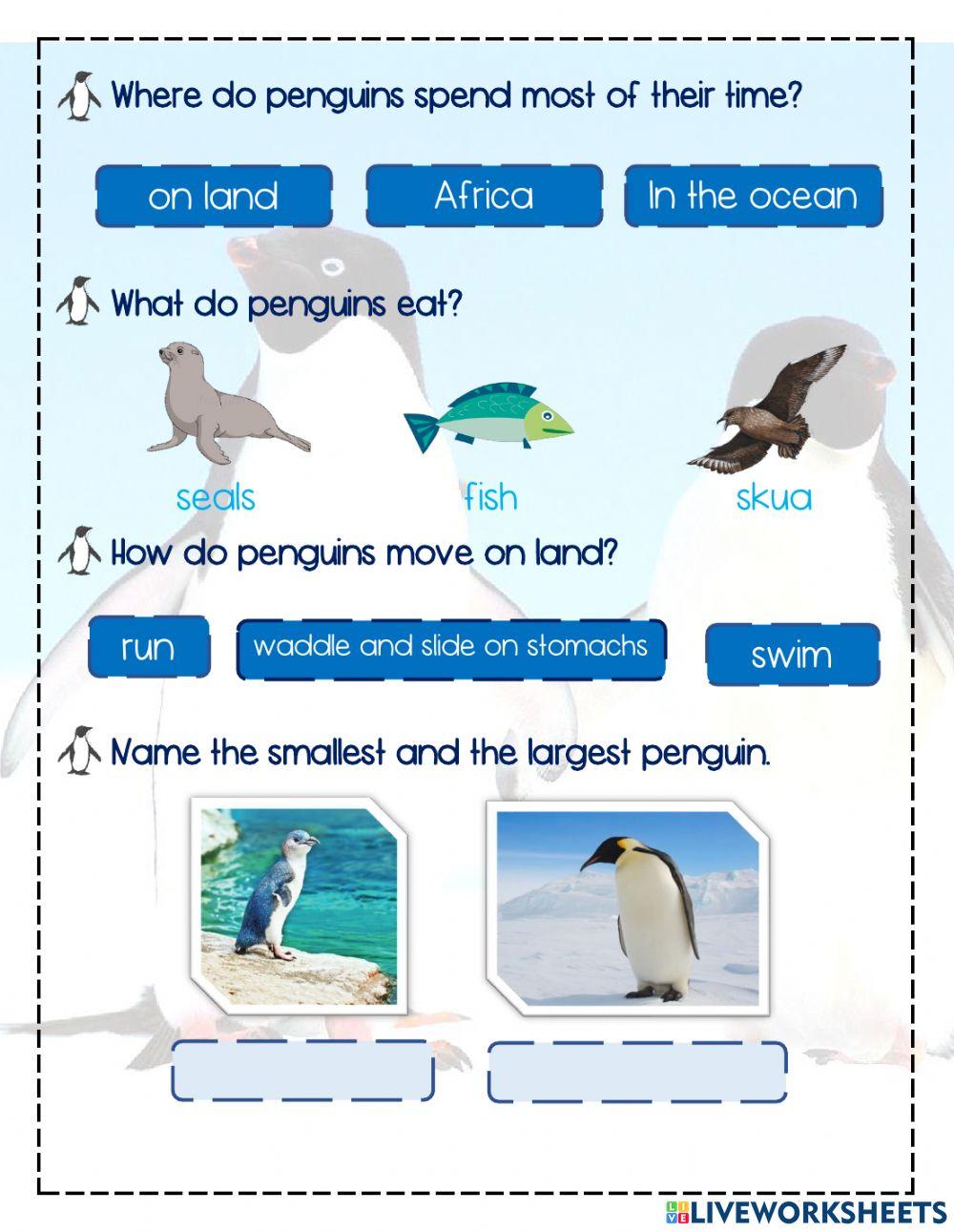 862592 | Penguins Fact File | Alyne | LiveWorksheets