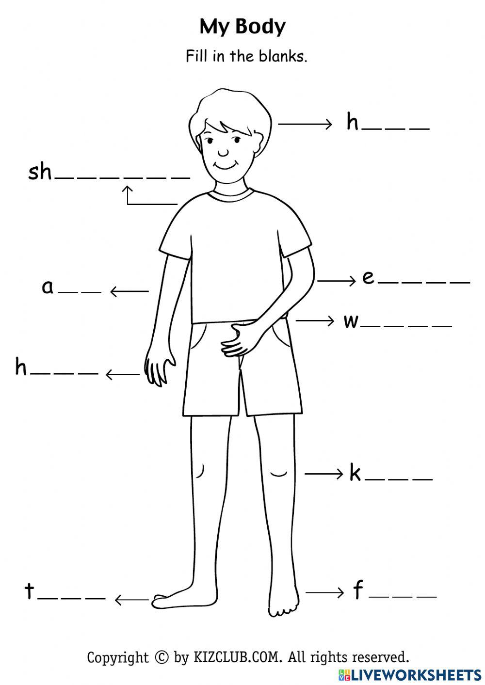 Body parts (NEE) worksheet | Live Worksheets