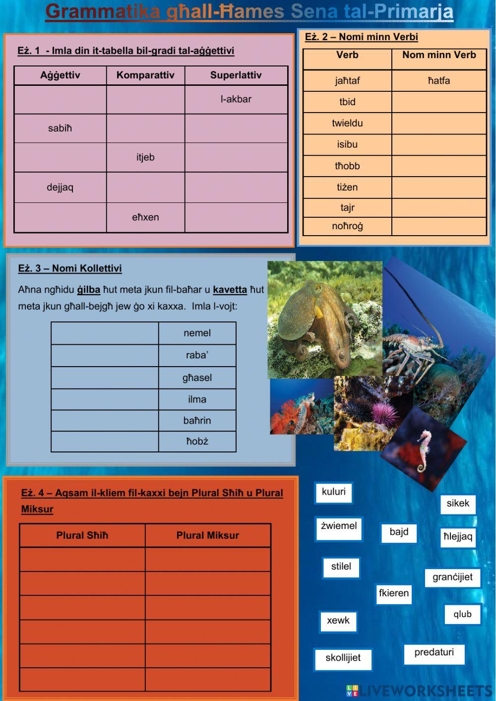 Malti Grammatik… | Free Interactive Worksheets | 865317