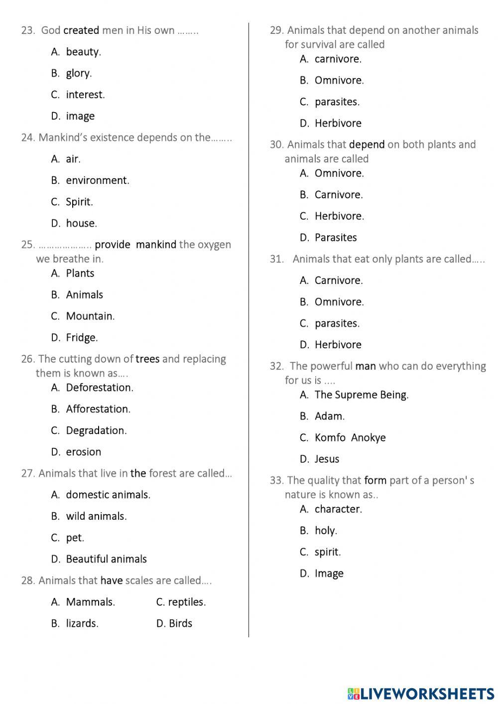 rme 6 online exercise for | Live Worksheets