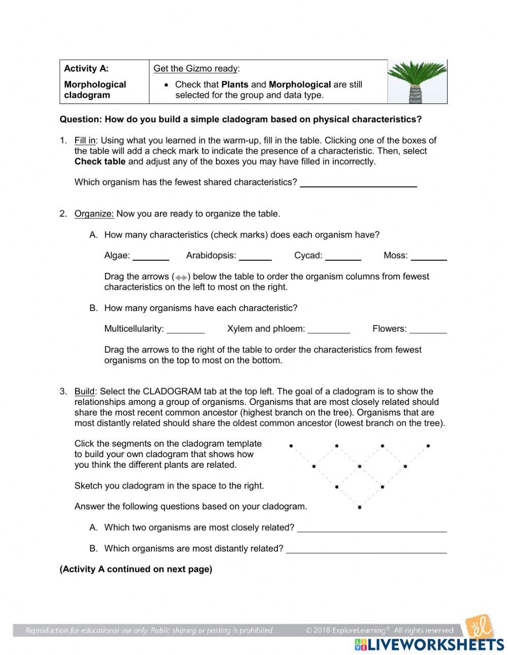 Cladogram-Simulation-via GIZMOS worksheet | Live Worksheets