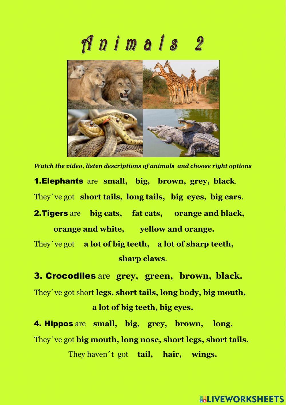 866912 | Description of animals | mária minárechová