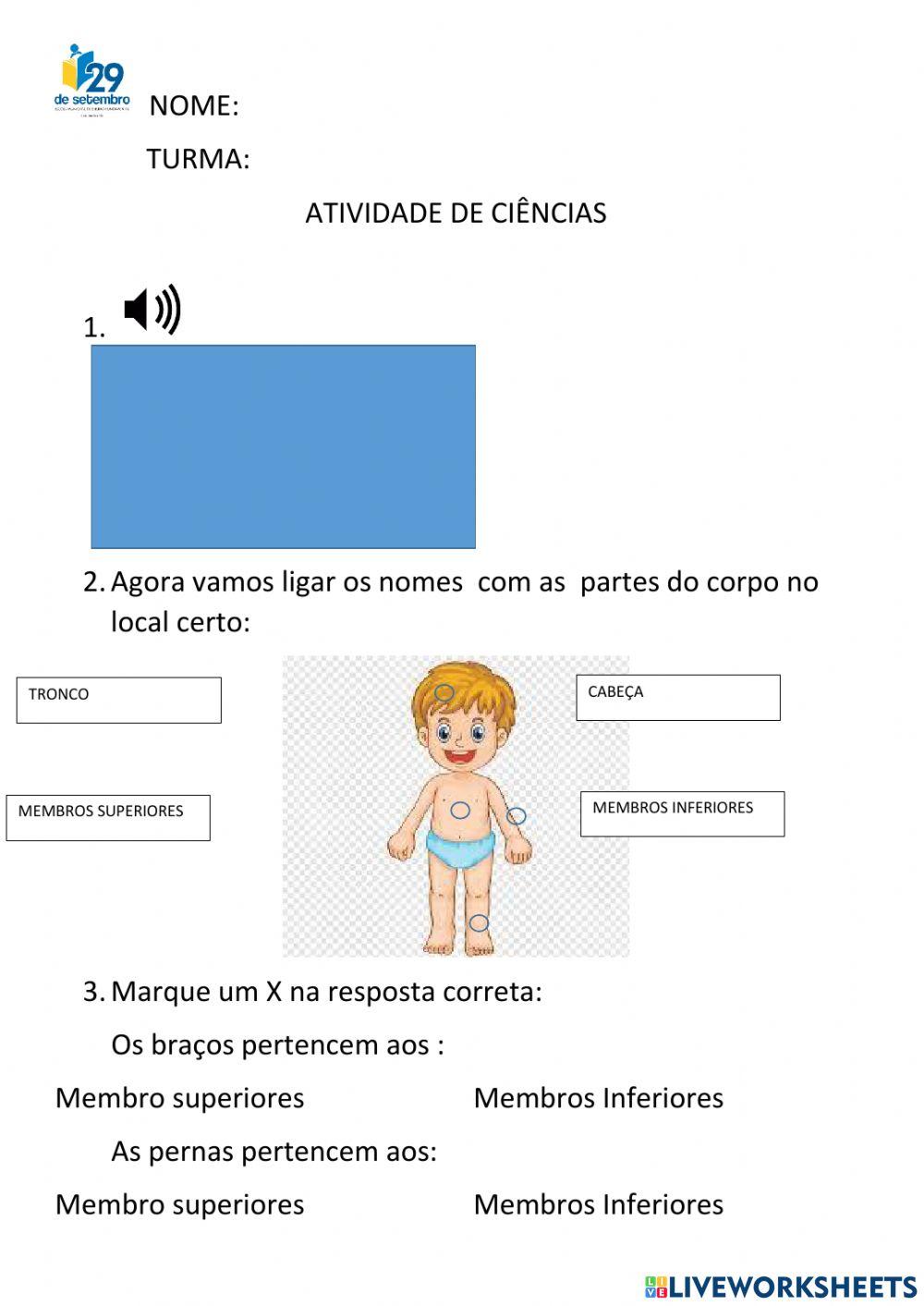 Corpo Humano Interactive Exercise For Séries Iniciais Live Worksheets