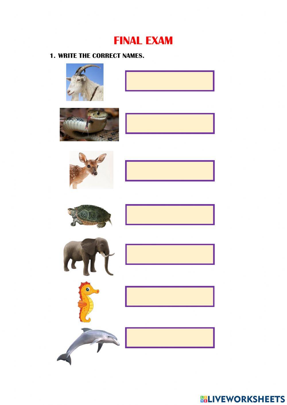 Kinder 2 interactive worksheet | Live Worksheets