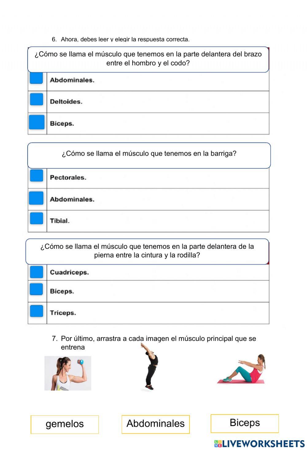 Los músculos online exercise for | Live Worksheets