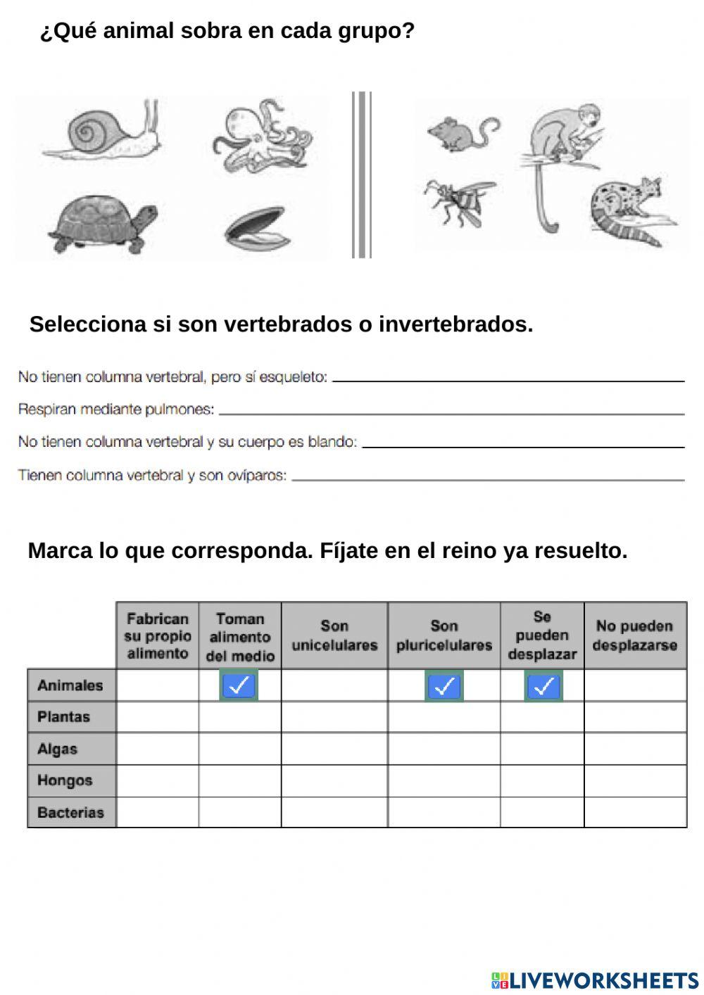 Fichas De Clasificación De Seres Vivos