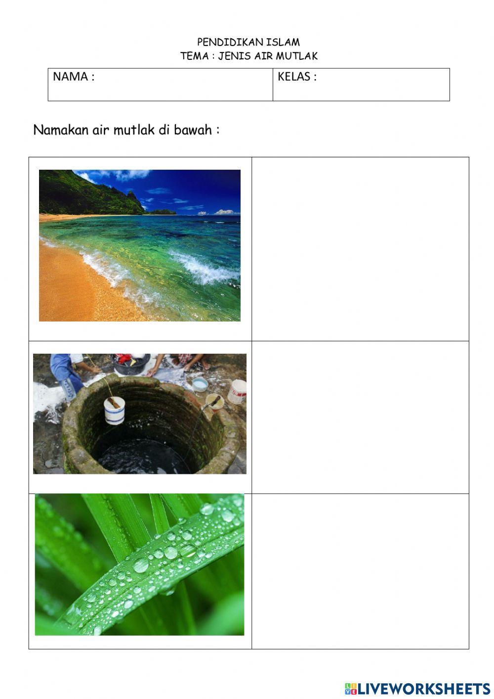 Jenis air mutlak interactive worksheet | Live Worksheets