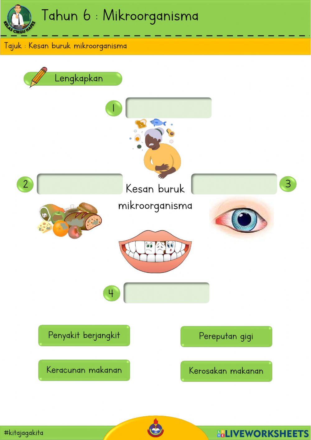 Sains t6 - kesan buruk mikroorganisma worksheet | Live Worksheets