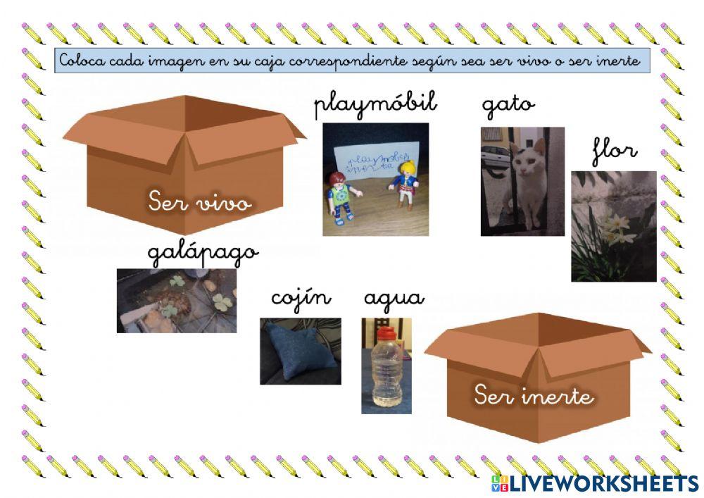 Ser vivo o ser inerte online exercise for | Live Worksheets