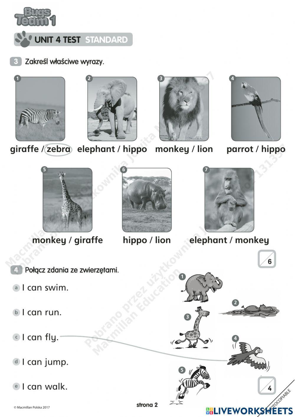 Bugs Team 1 - unit 4 online exercise for | Live Worksheets