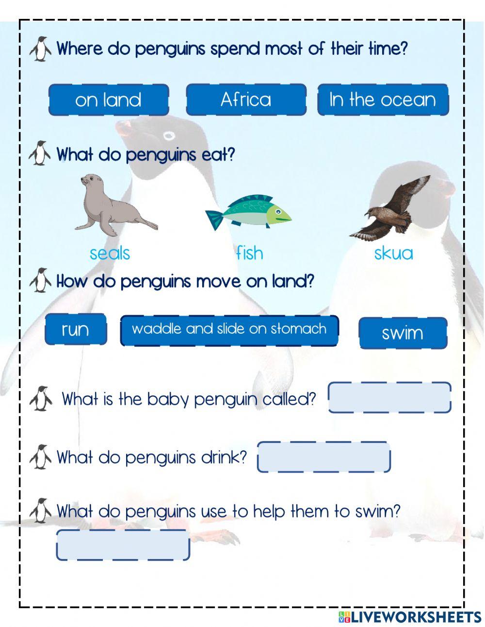 Penguins Fact File 870155 | Alyne | Live Worksheets