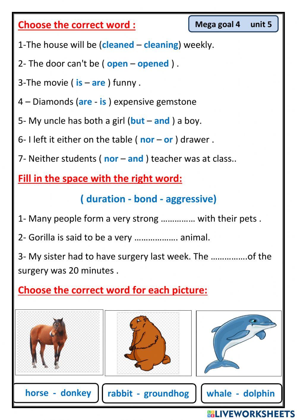 Mega goal 4 unit 5 worksheet | Live Worksheets
