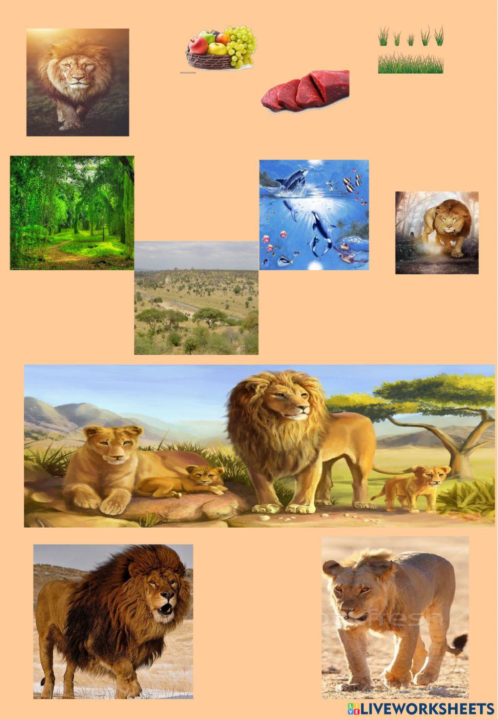 Leul worksheet | Live Worksheets