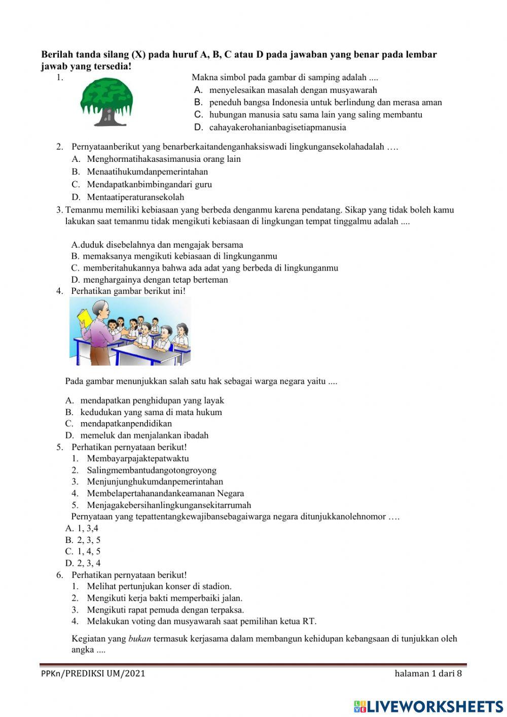 Pkn les activity | Live Worksheets