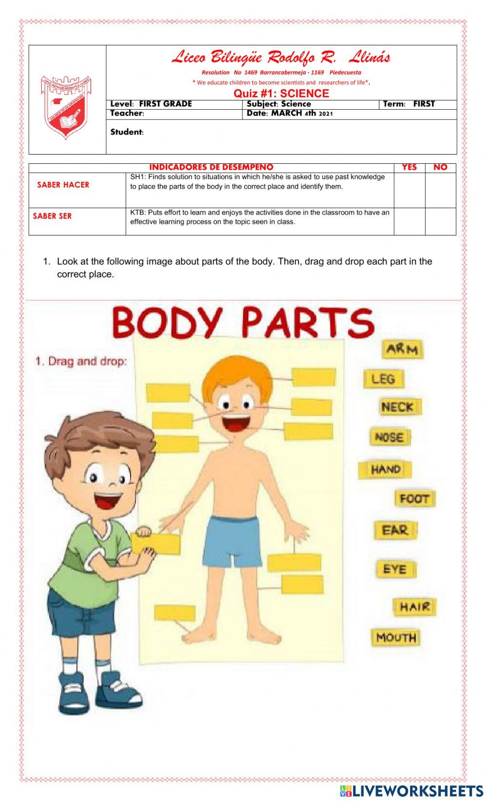 780948 | Quiz 1: science 1st grade | Ginna Rodríguez