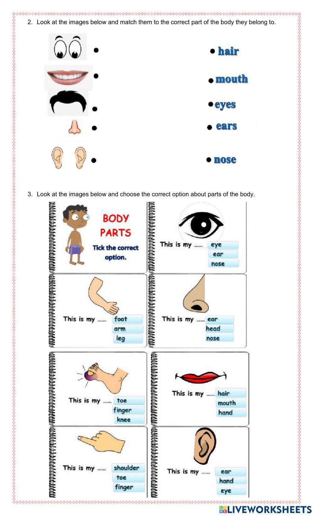 780948 | Quiz 1: science 1st grade | Ginna Rodríguez