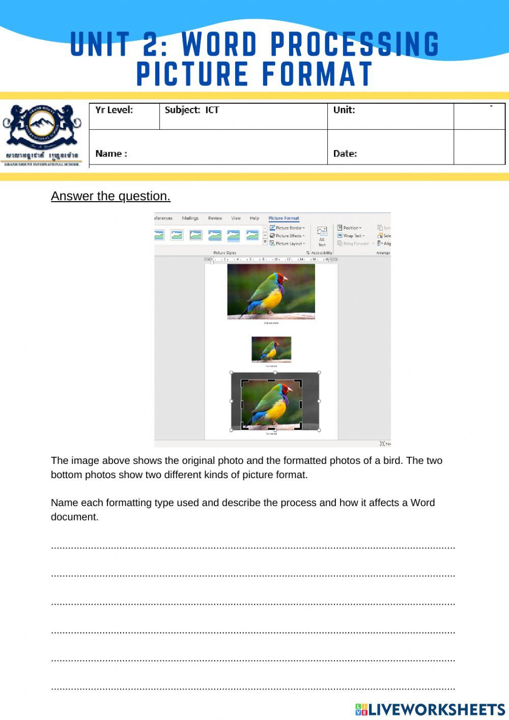 Word Processing: Picture Format worksheet | Live Worksheets