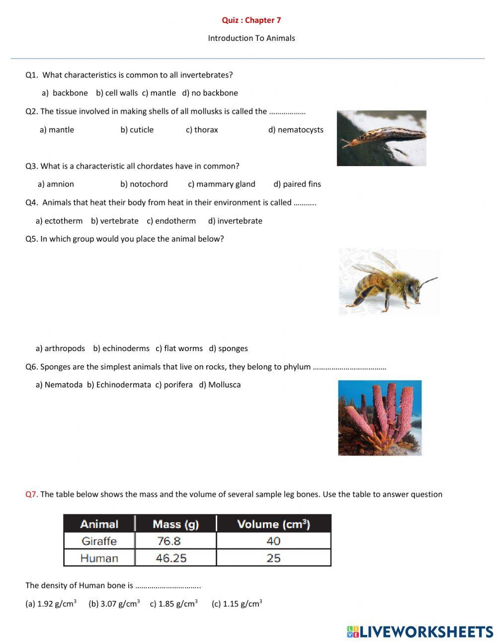 invertebrates online pdf exercise | Live Worksheets
