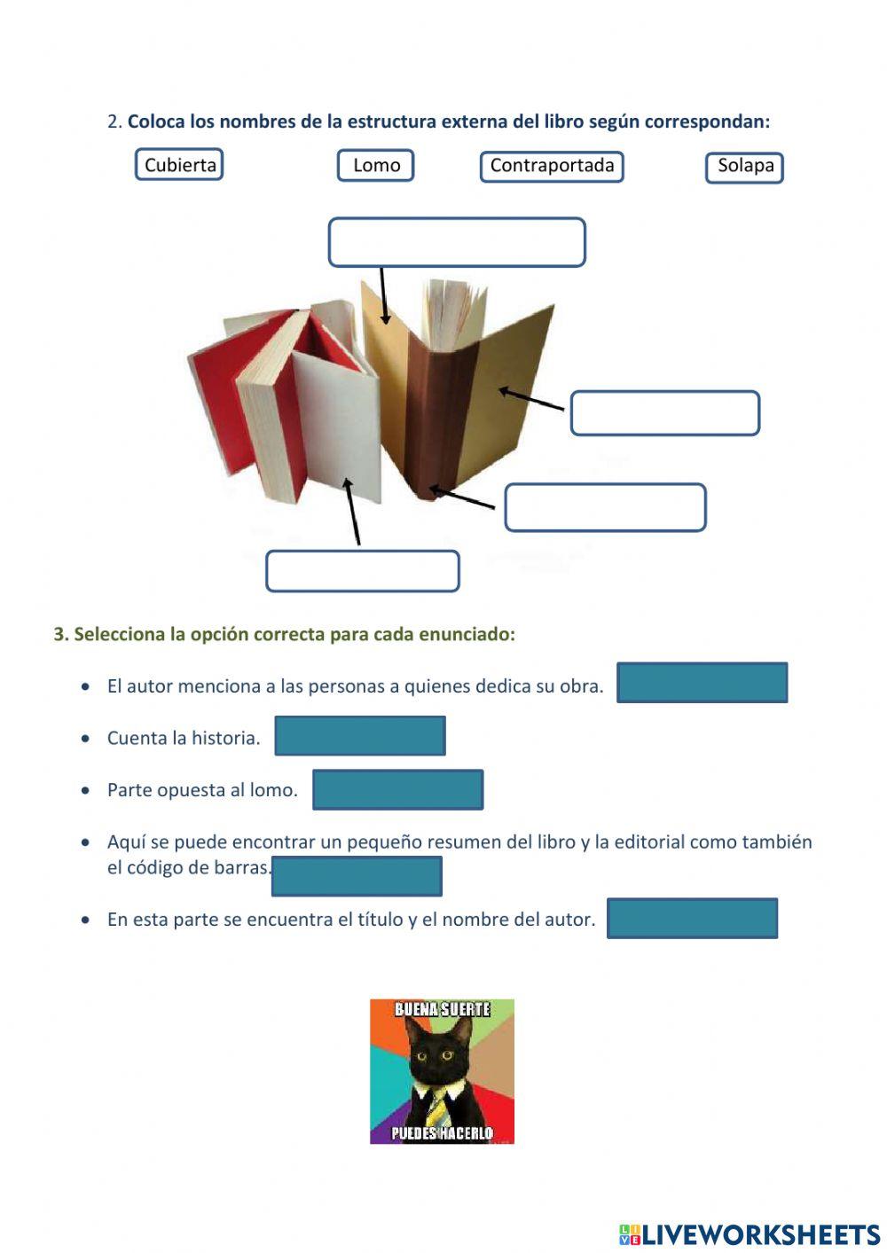 Partes de un libro worksheet | Live Worksheets