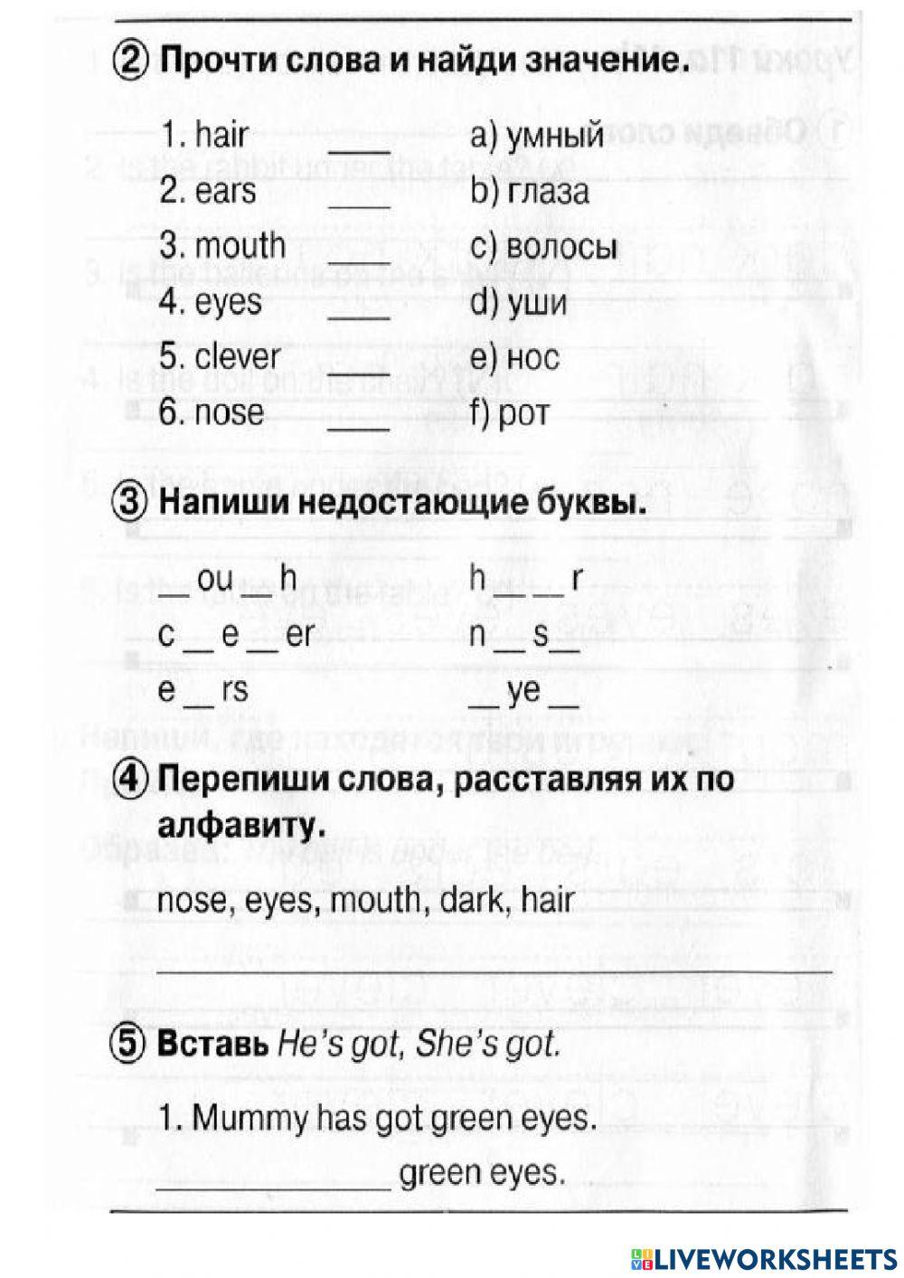 Spotlight 2 11a worksheet | Live Worksheets