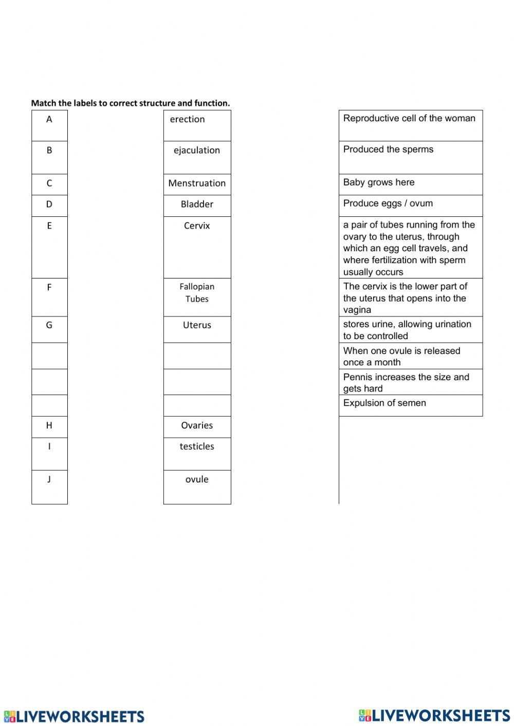 Mm,m worksheet | Live Worksheets