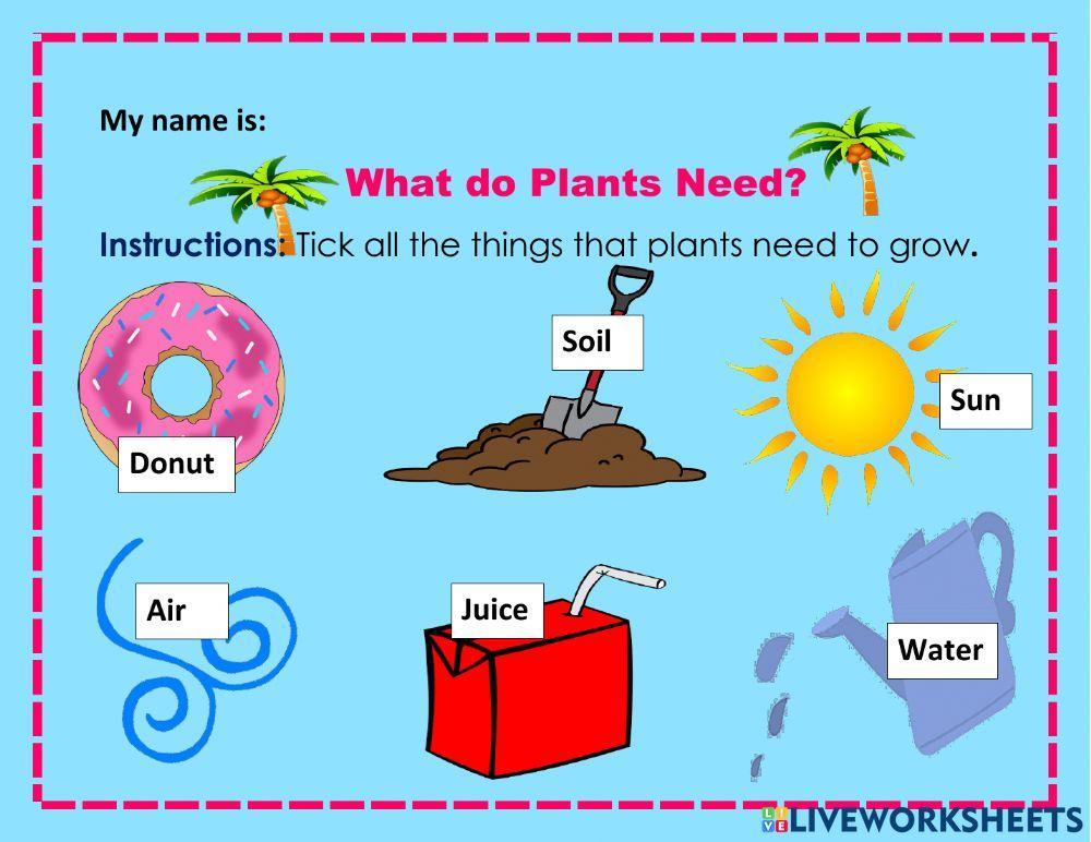 What Do Plants Need Live Worksheets What Do Plants Need Live Worksheets