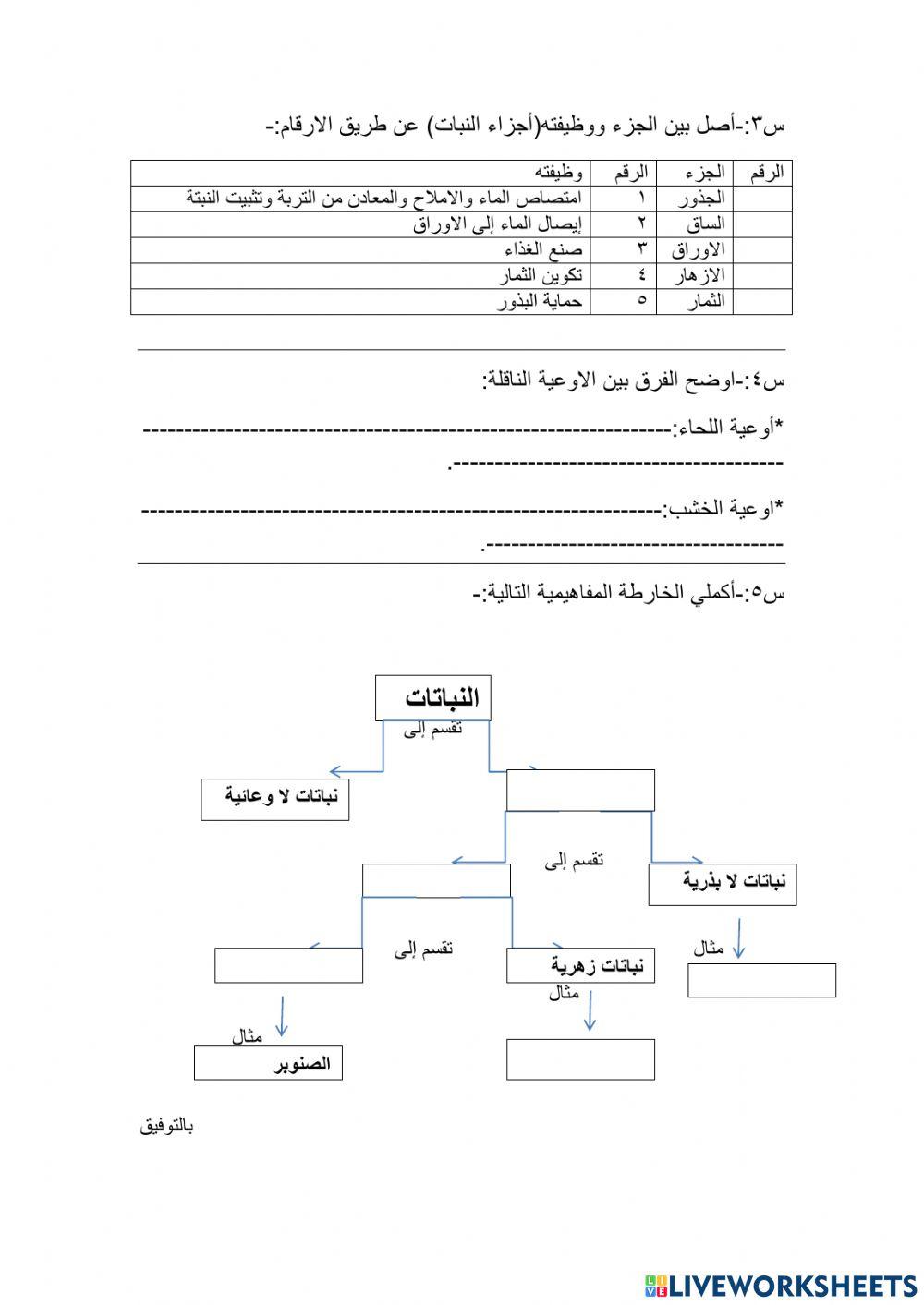 hgfgjhg 4837597 | fatimashqirat | Live Worksheets