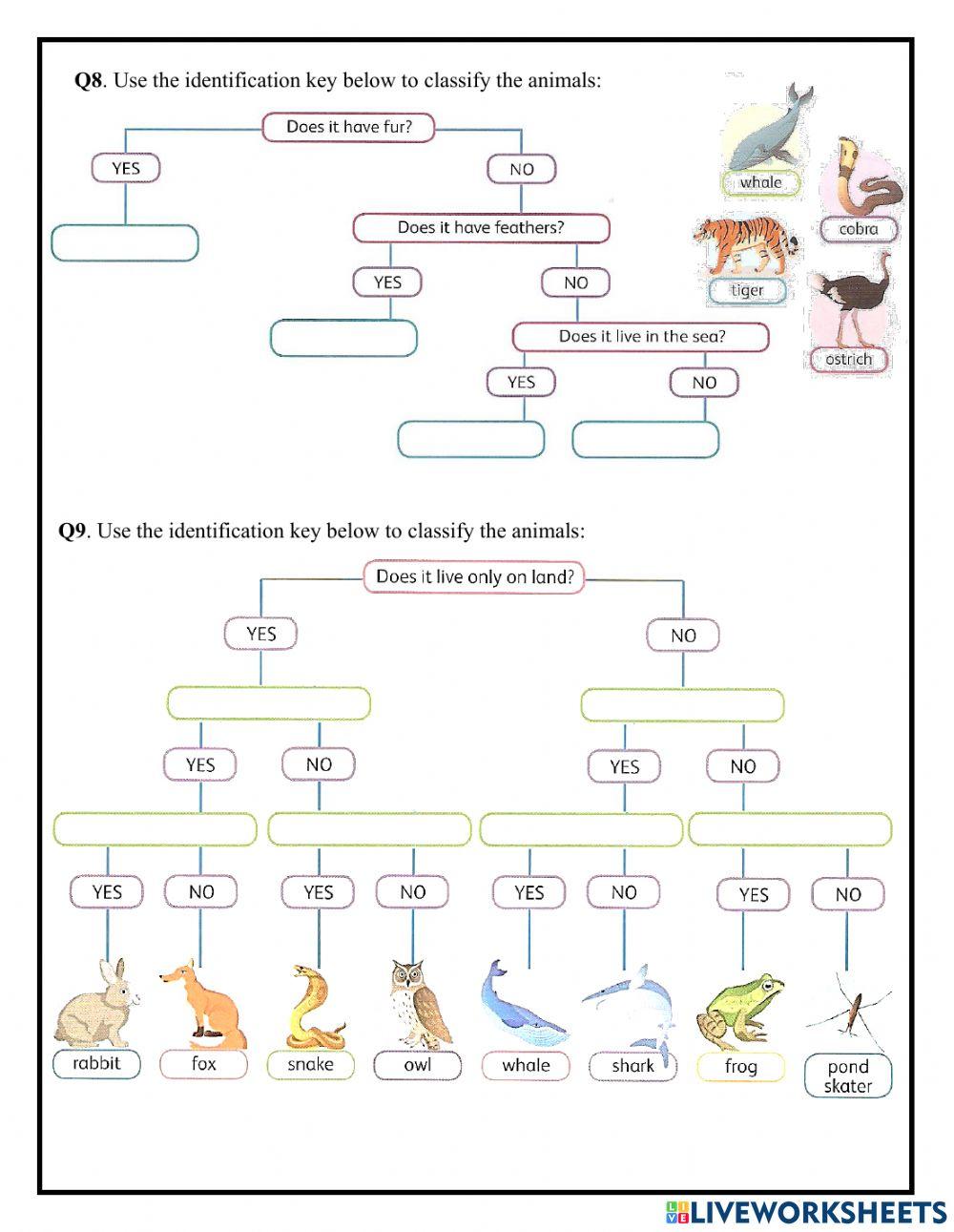 Science Revision | Live Worksheets