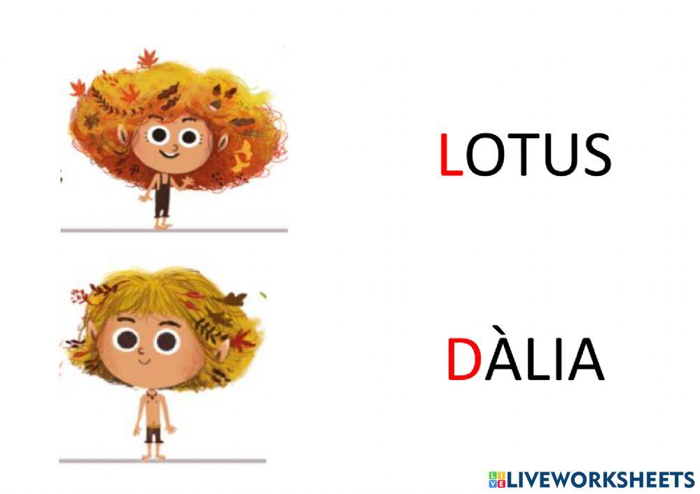 Dàlia i Lotus worksheet | Live Worksheets