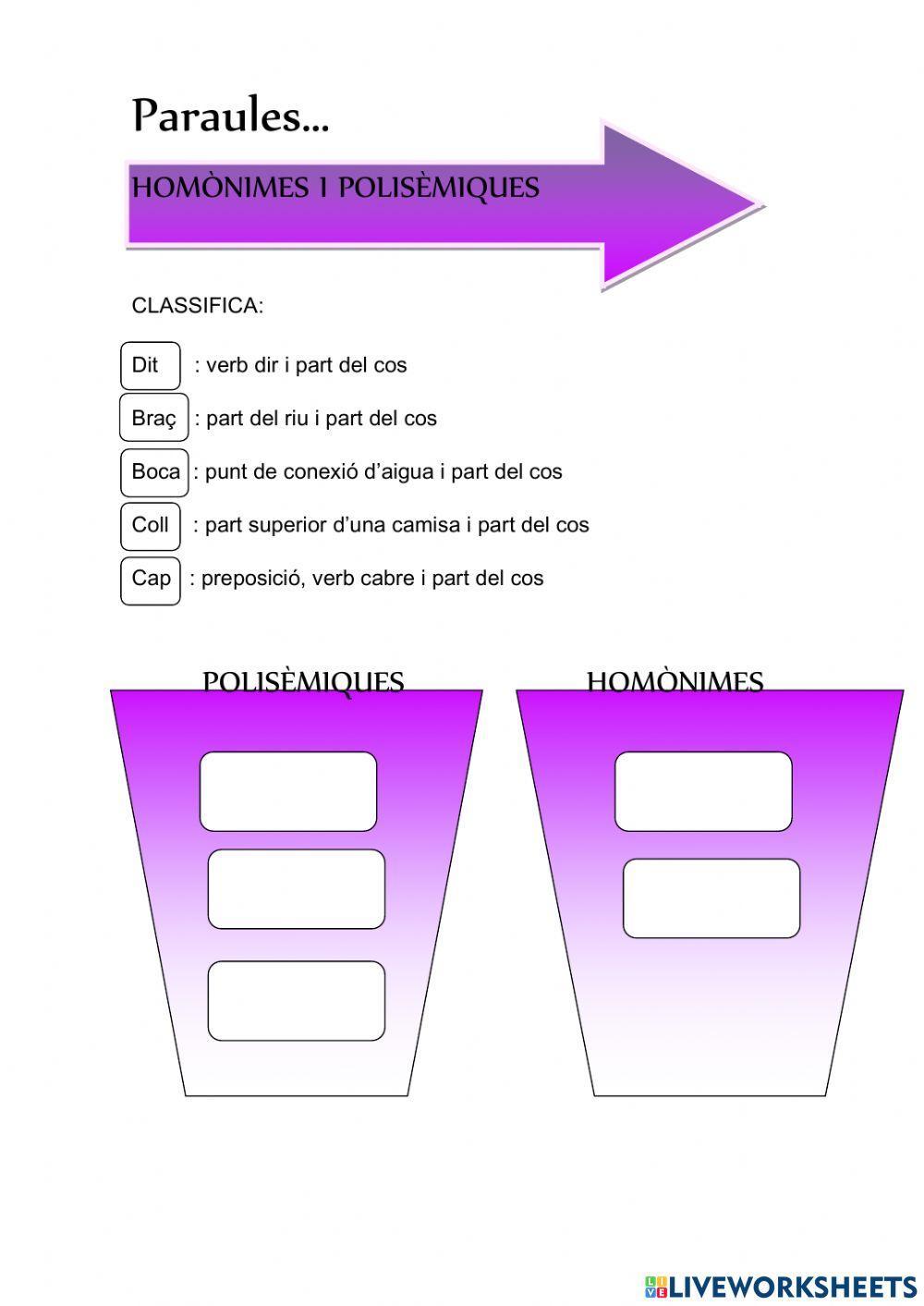 Tipus de paraul… | Free Interactive Worksheets | 788699