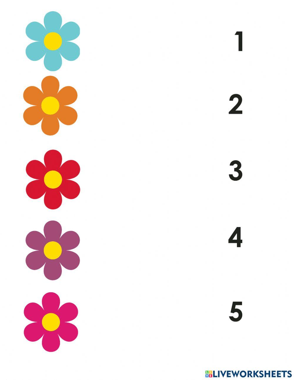 Number from 1 to 5 worksheet | Live Worksheets