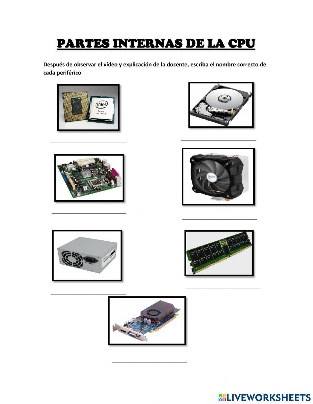 Partes De La Cpu De La Computadora