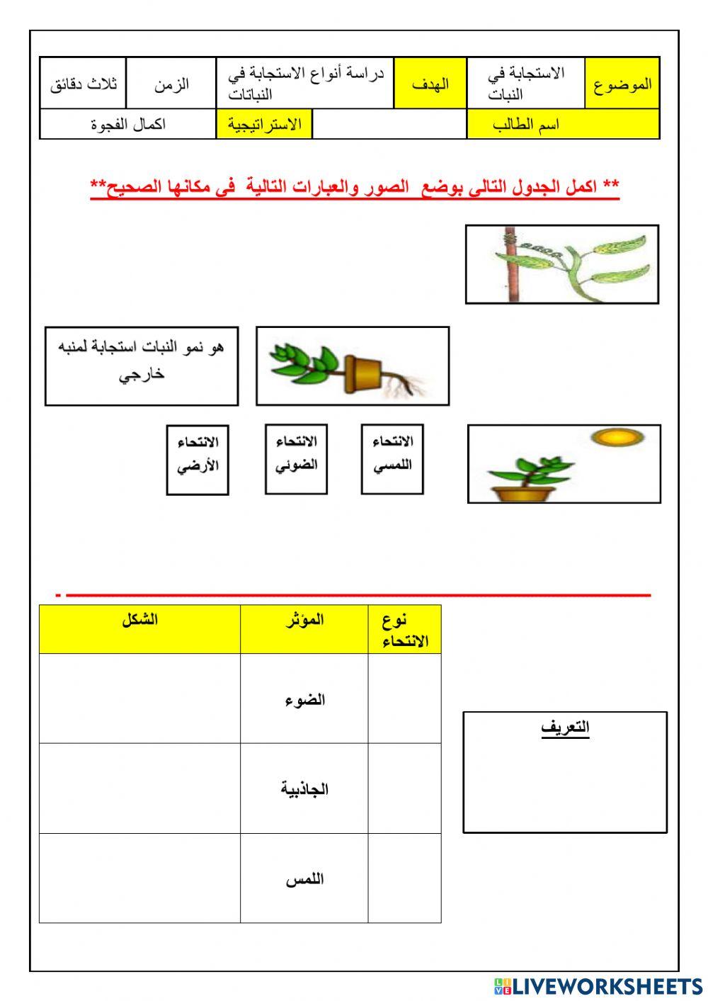 790499 | استجابة النبات للمؤثرات | fatma1210