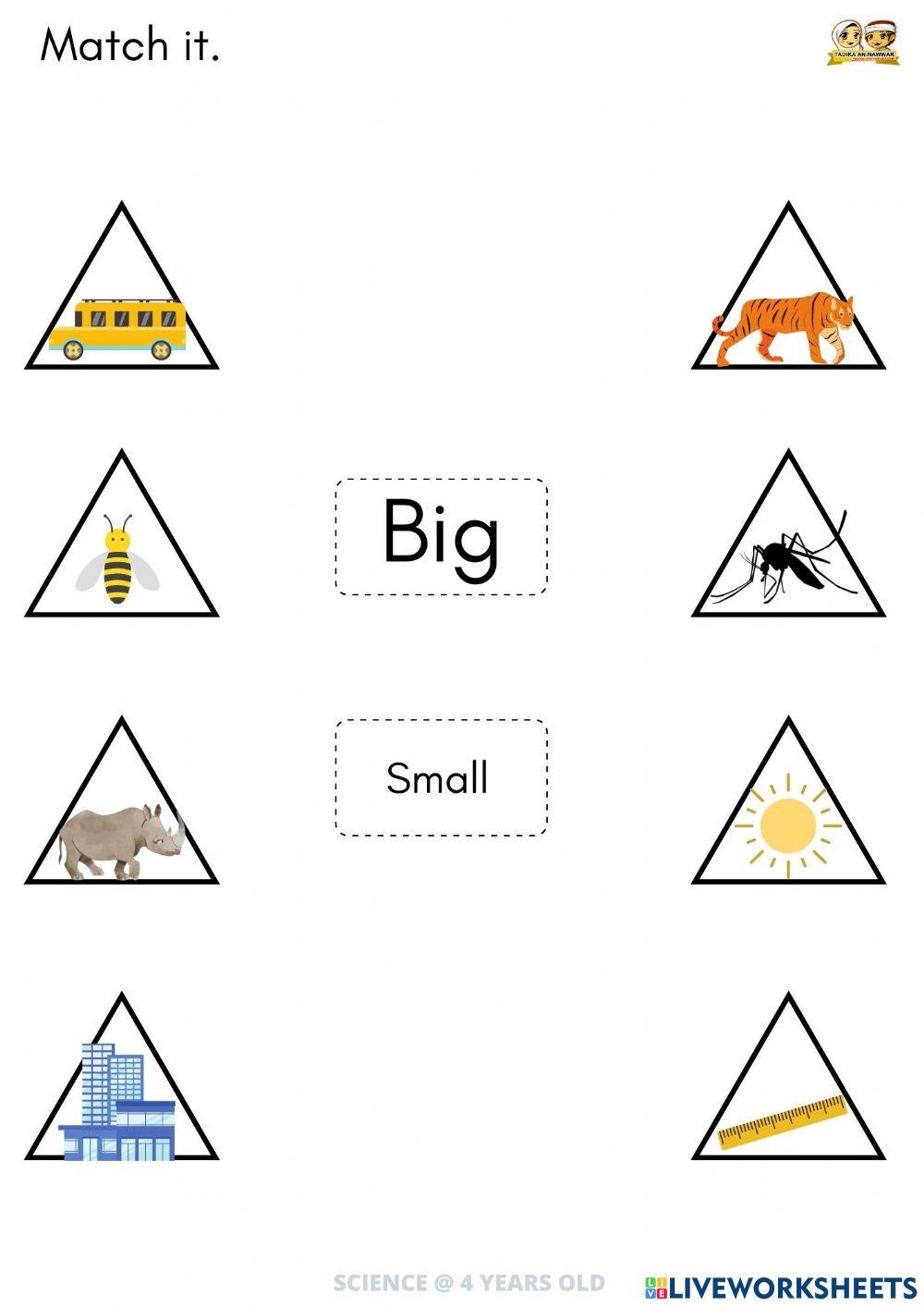 Science : size object 4 worksheet | Live Worksheets