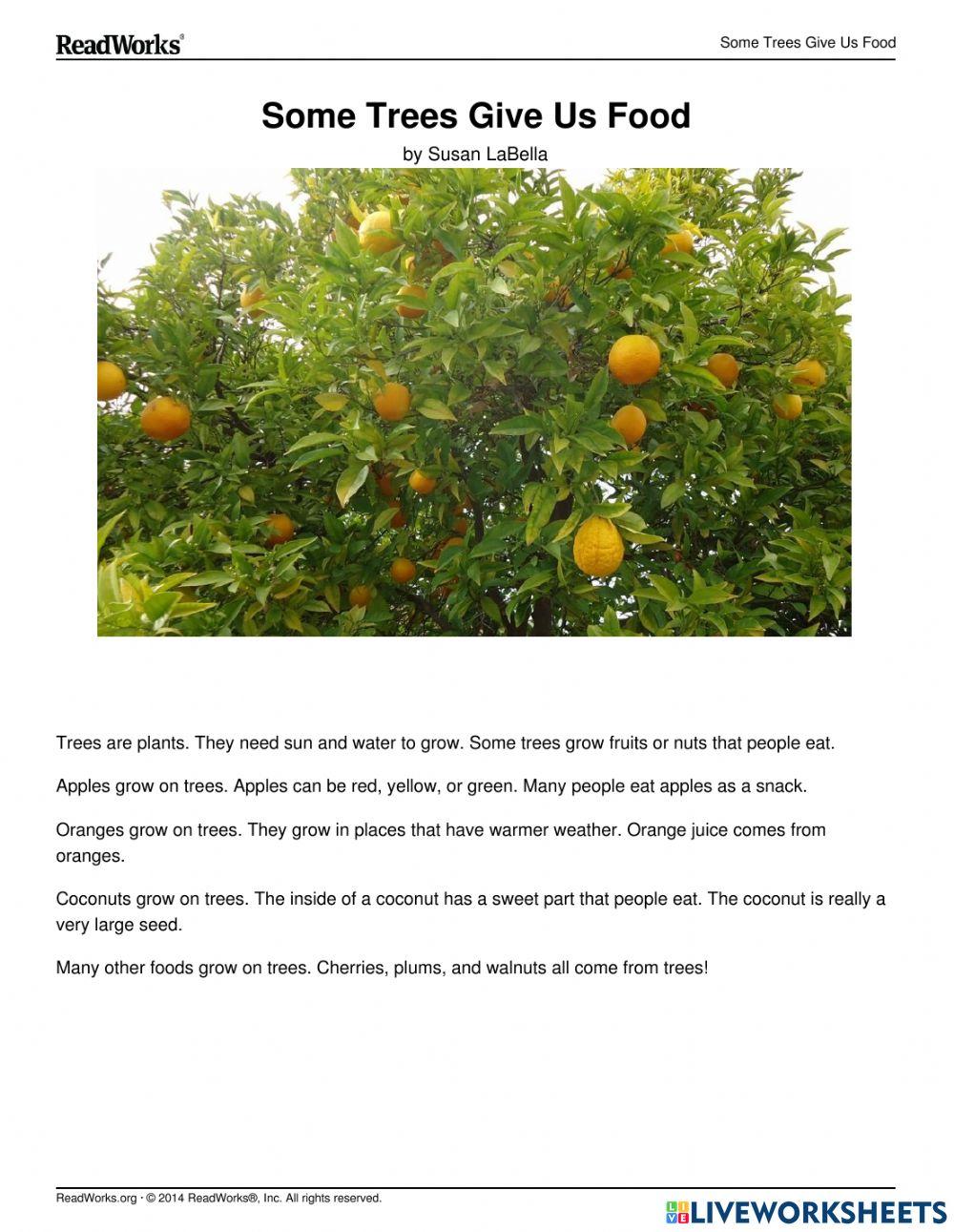 readworks some trees give us food 4845551 | Debbie