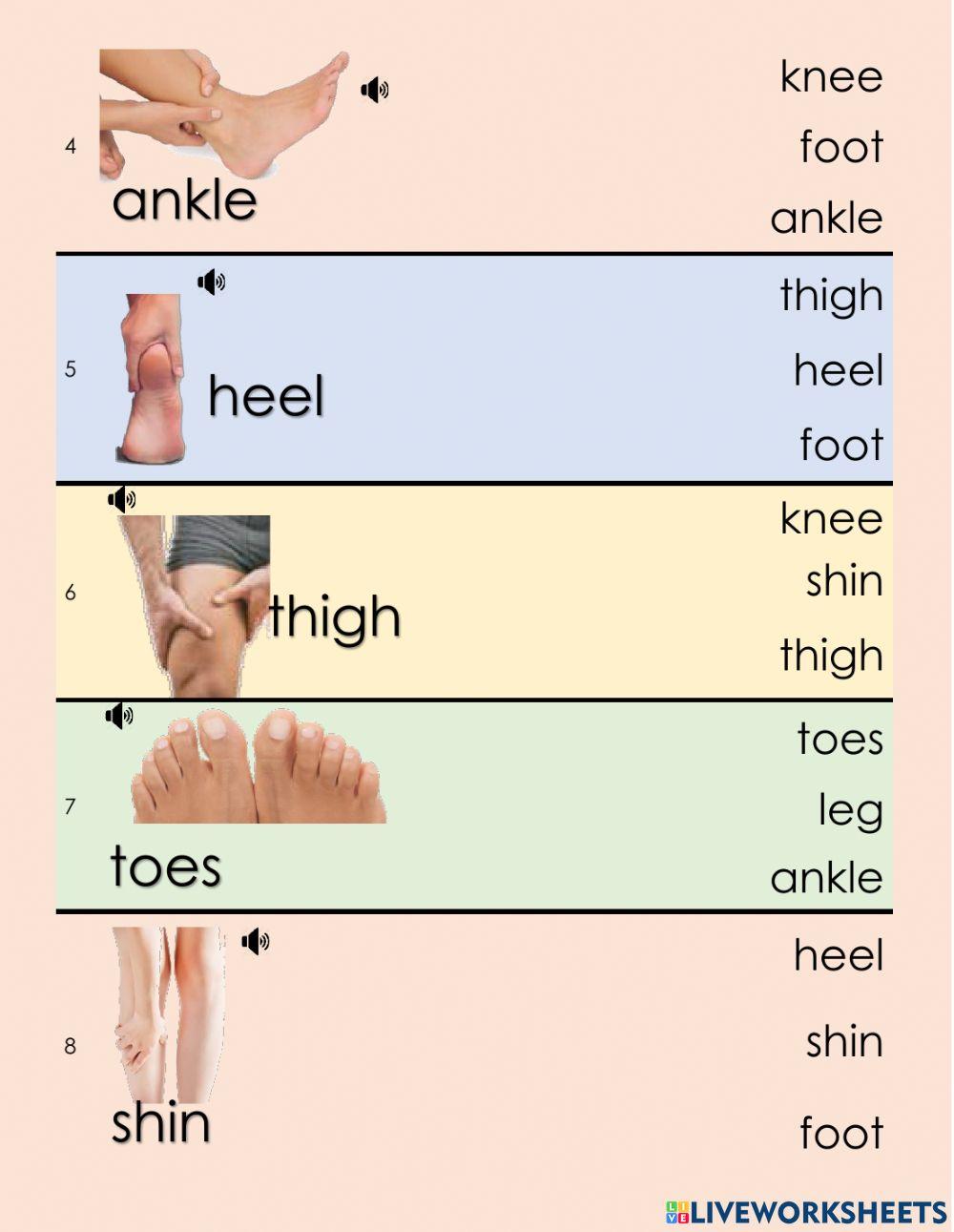 PARTS OF THE LEG ADIL 6 02 online exercise for | Live Worksheets